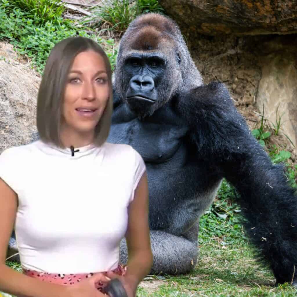 Atlanta Weather Girl Ella Dorsey nearly fired after noting similarities ...