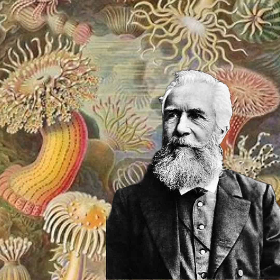 Ernst Haeckel criticized by top German anthropologists. geneticists Uwe ...